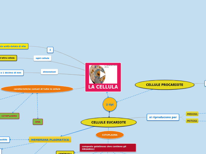 cellula - Mind Map